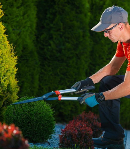 Garden Maintenance | Sanrel Property Services